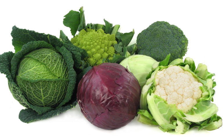 UN CHOU ? C’EST UN CHOU ! - Blog de Provence en terre Rognonaise ...